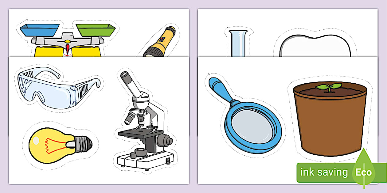 Science Display Cut-Outs (teacher made) - Twinkl