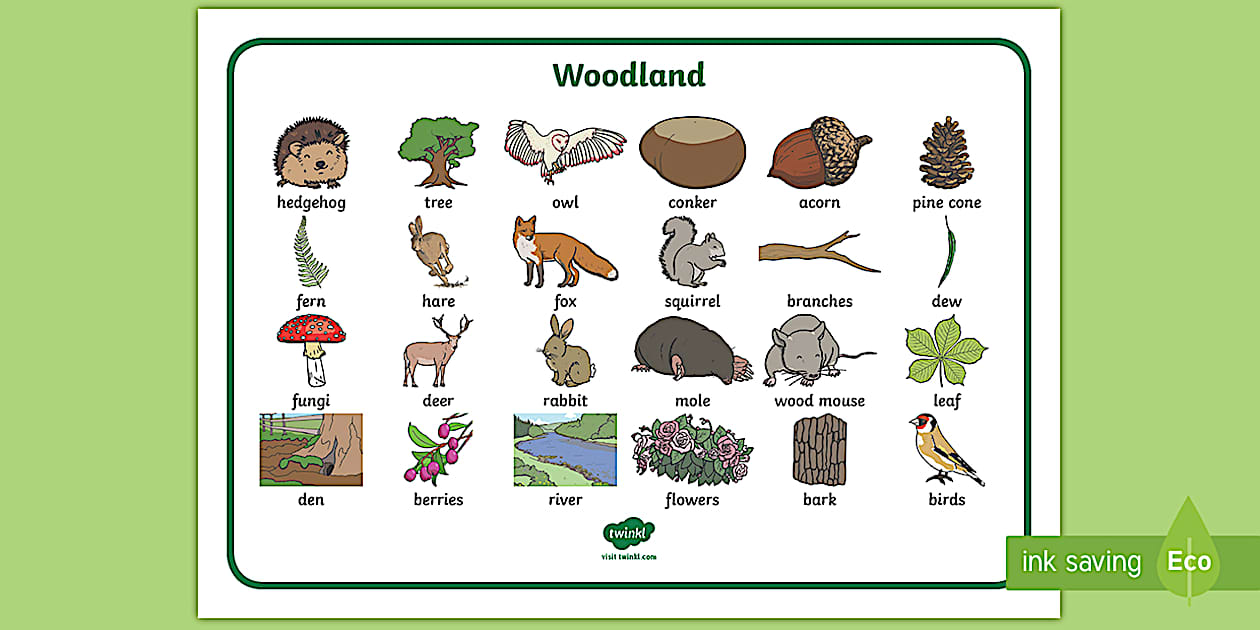 Woodland Word Mat | Twinkl Primary Resources (Teacher-Made)