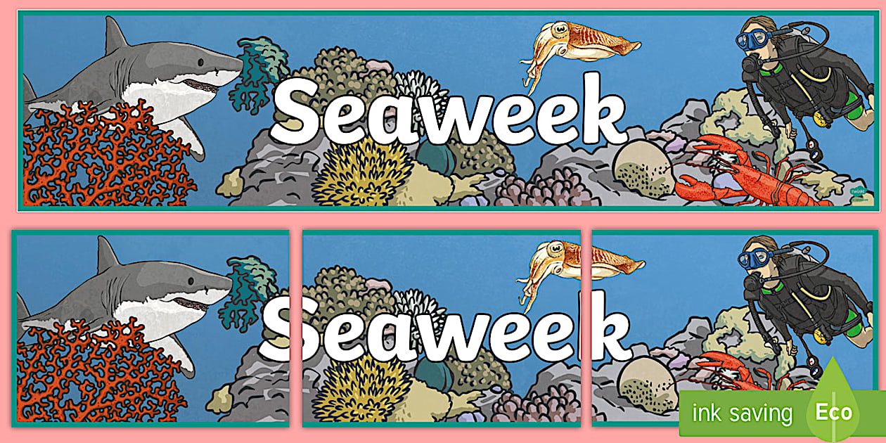 3 - 6 Seaweek Display Banner (teacher made) - Twinkl