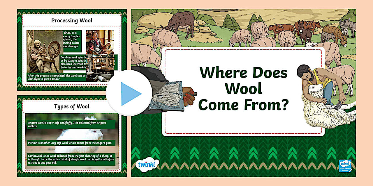 Where Does Wool Come From? PowerPoint - Twinkl - KS2