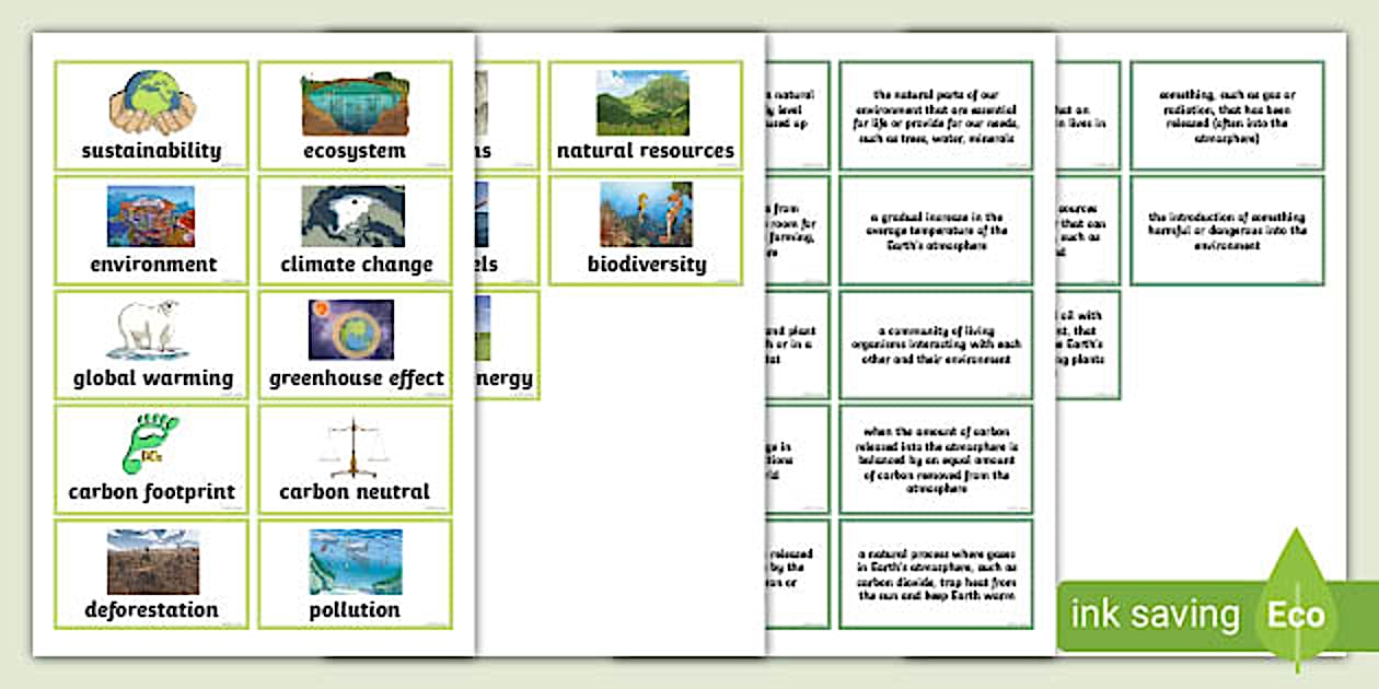 Editable Sustainability Words and Definitions Cards - Twinkl