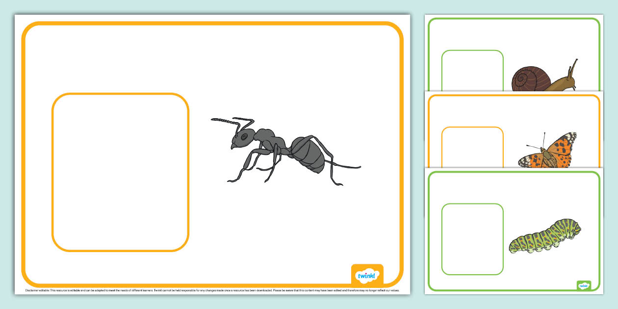 👉 * NEW * Editable Class Group Names (Minibeasts)