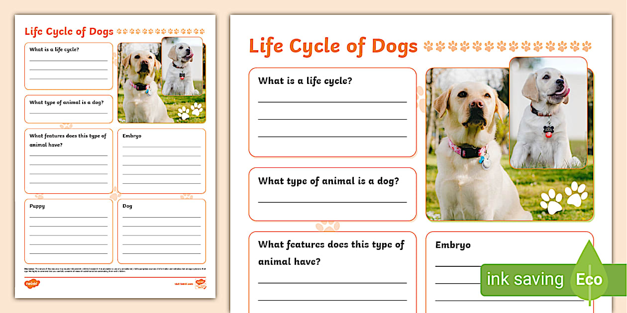 Life Cycle of Dogs Fact File Template (teacher made)