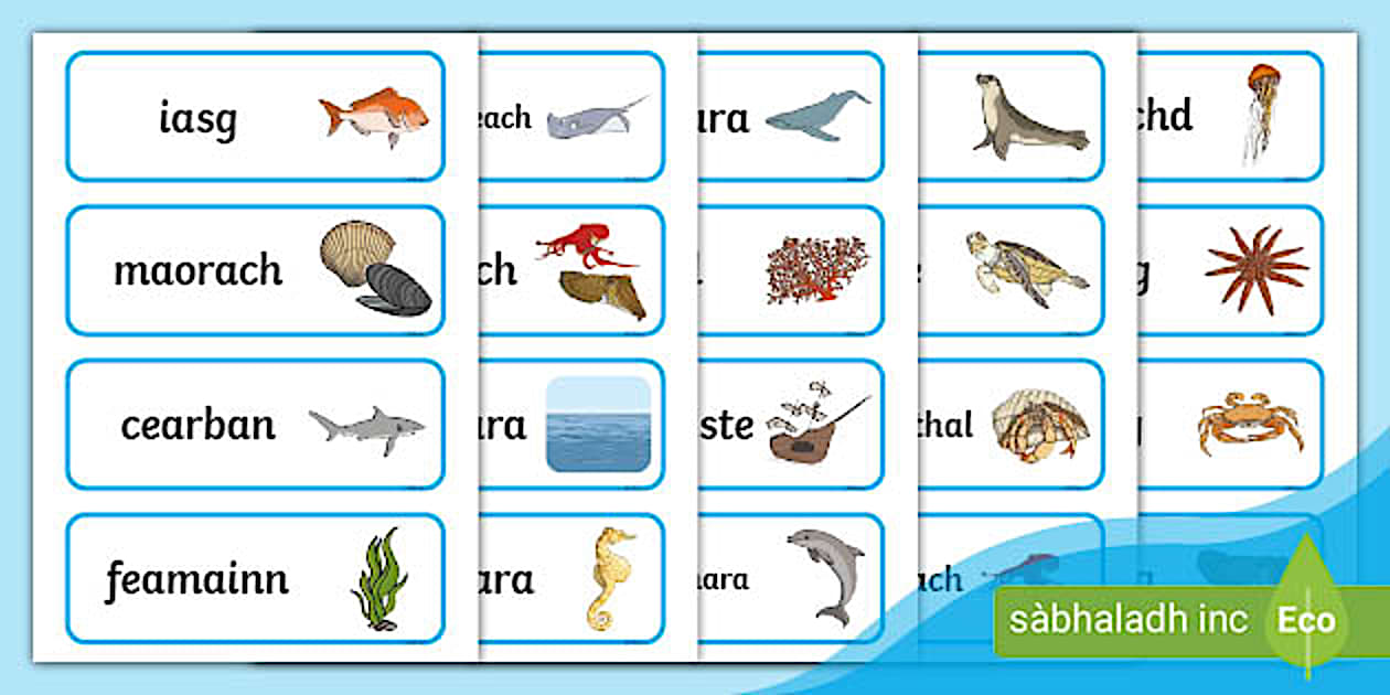 Cairtean-facail Tìr fo Thuinn – Gàidhlig (teacher made)