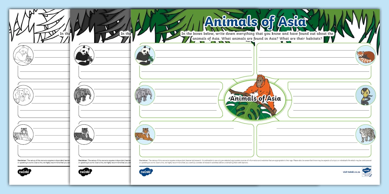 Animals of Asia Mind Map - Twinkl Mind Maps - Twinkl