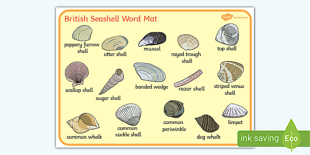 Editable British Seashell Word Mat (teacher made) - Twinkl