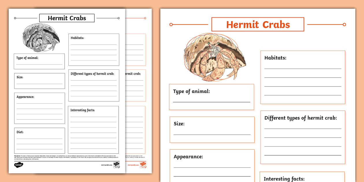 Hermit Crabs Fact File Template, Hermit crabs (teacher made)