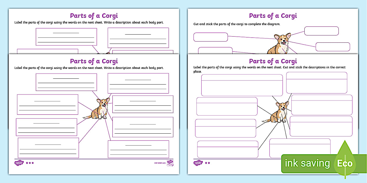 Parts of a Corgi Labelling Activity (Teacher-Made) - Twinkl