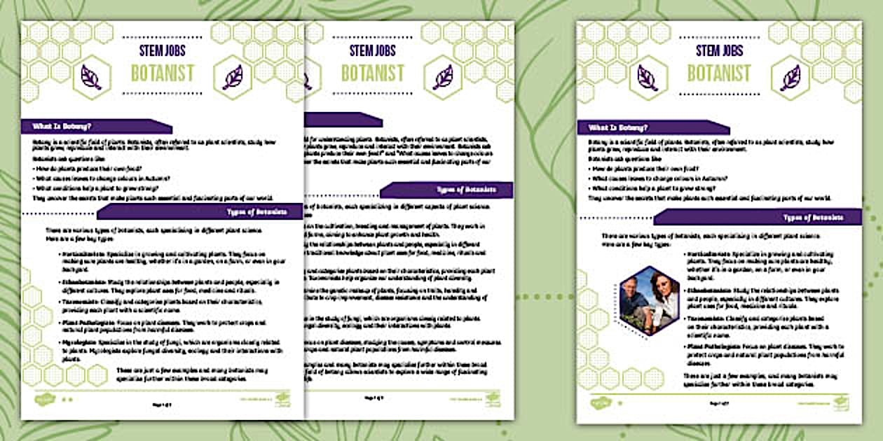 What Does a Botanist Do? Fact File | STEM Careers | Twinkl