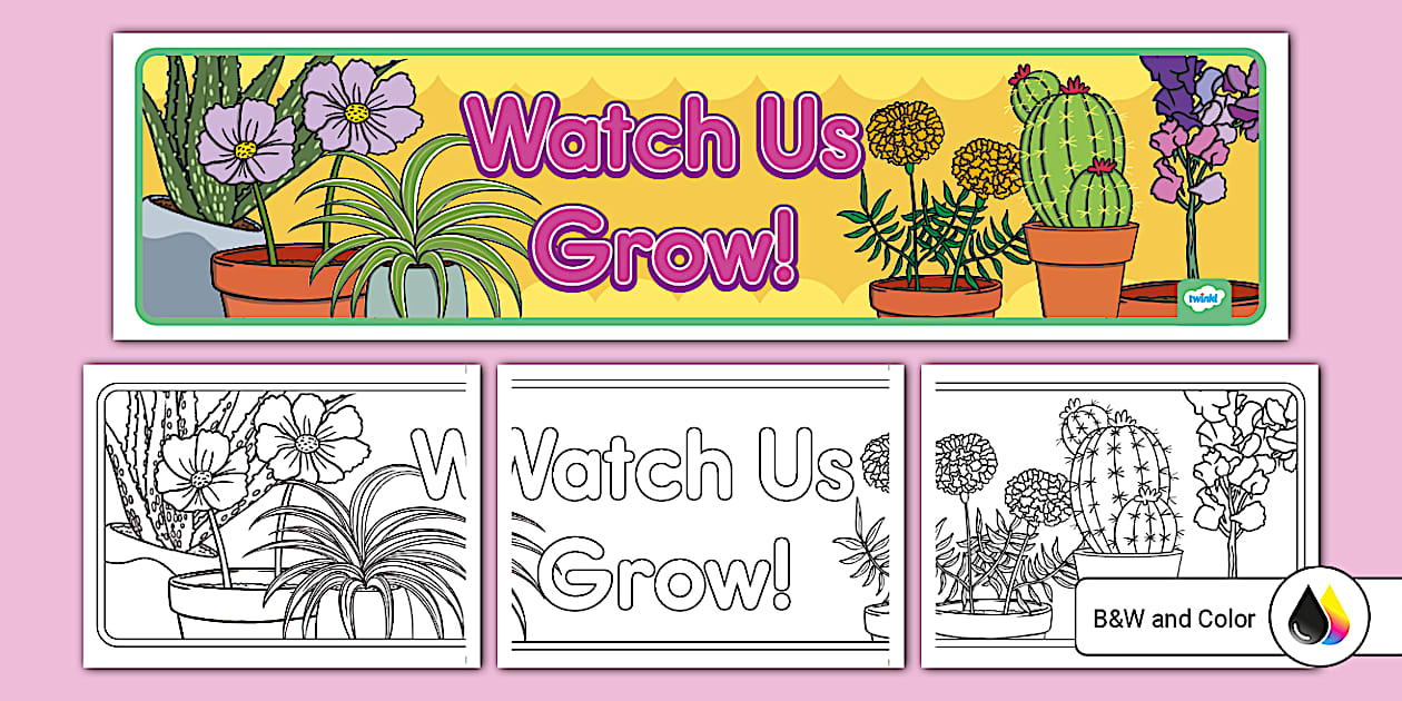 Weekly Reflections Watch Us Grow! Banner (teacher made)