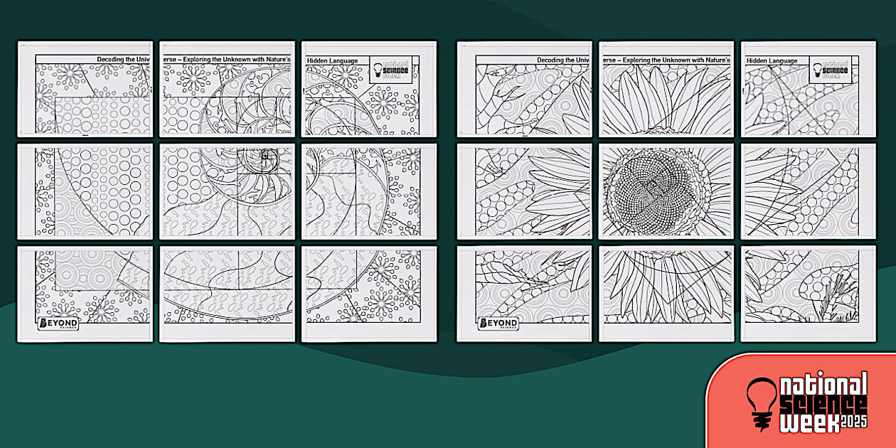Fibonacci Collaborative Colouring Activity (teacher made)