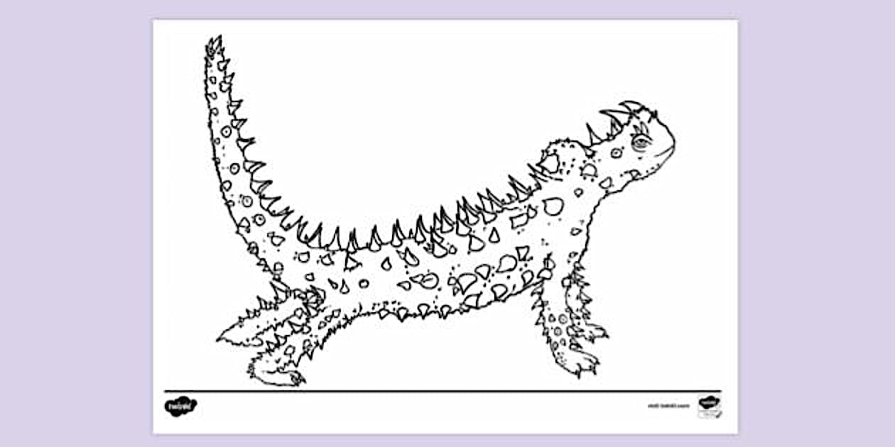 Thorny Devil Colouring Sheet (teacher made) - Twinkl