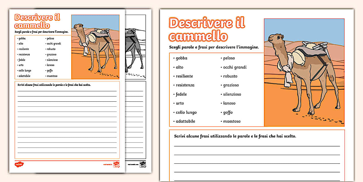 Attività di scrittura: Descrivere il cammello - Twinkl