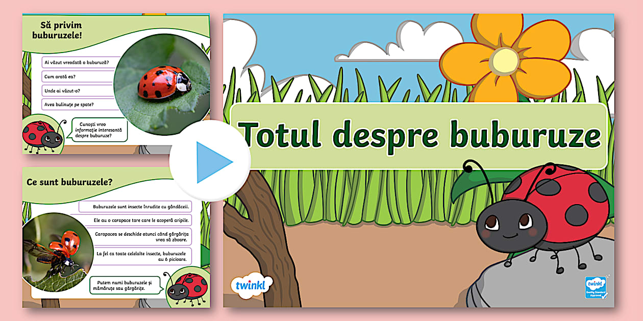 Totul despre buburuze – Prezentare PowerPoint - Twinkl