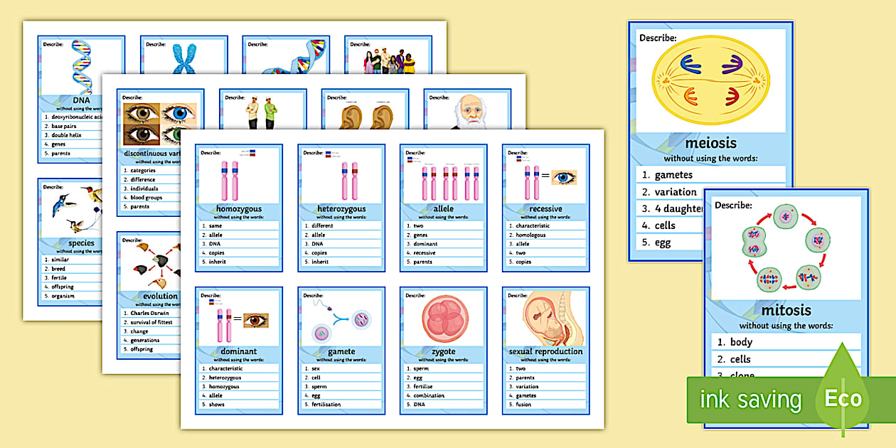 DNA Inheritance and Variation Can You Guess? Cards - Twinkl