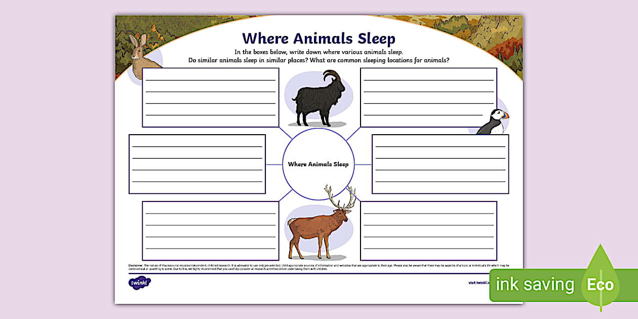 Where Animals Sleep Mind Map (teacher made) - Twinkl