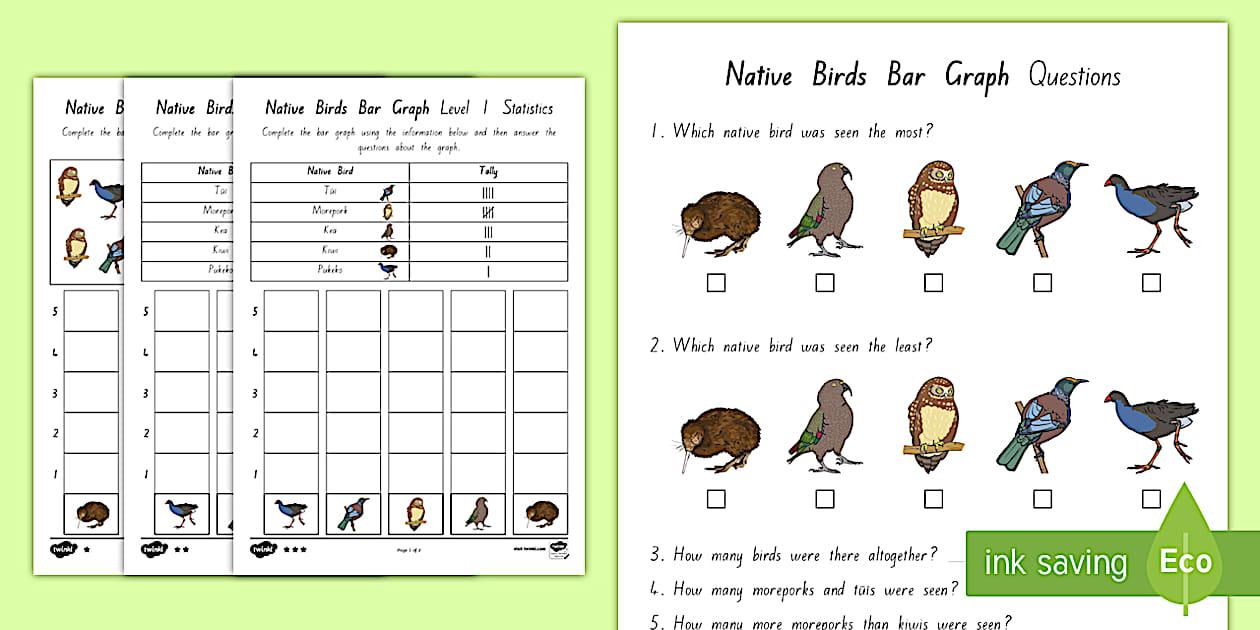 Native Birds Bar Graphs Differentiated Worksheet / Worksheets