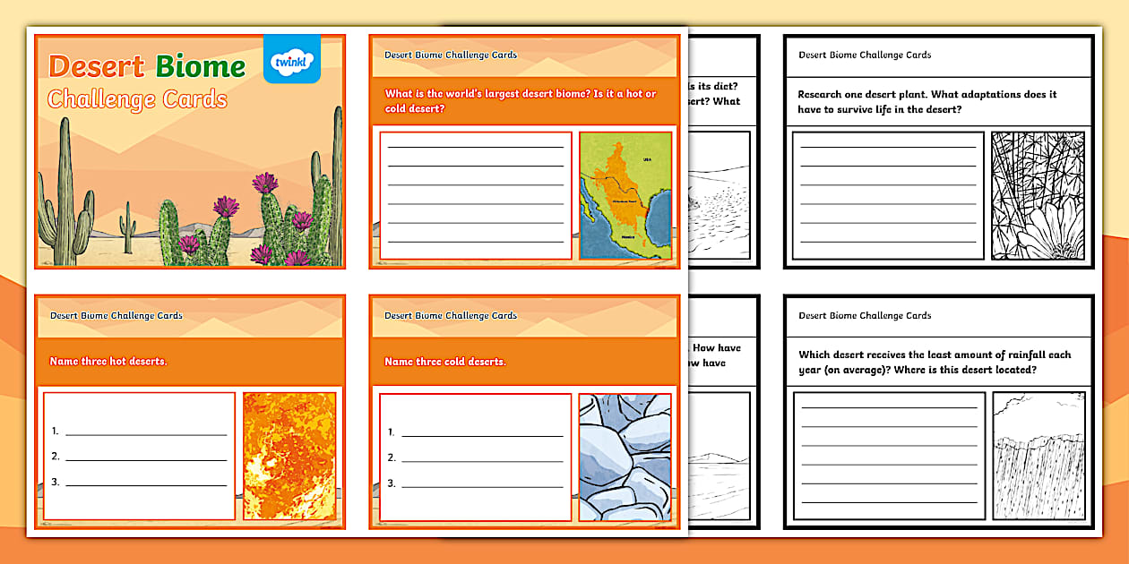 Desert Biome Challenge Cards (teacher made) - Twinkl