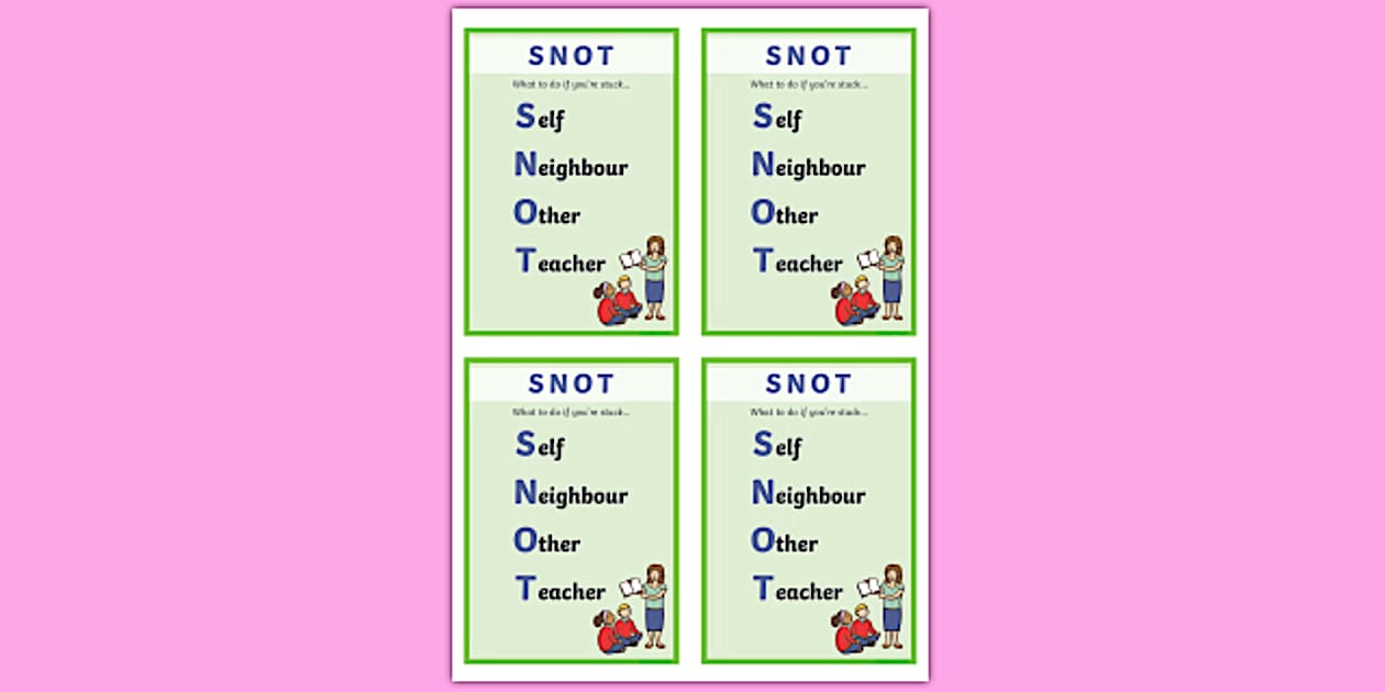 👉 SNOT Visual Aids (teacher made) - Twinkl