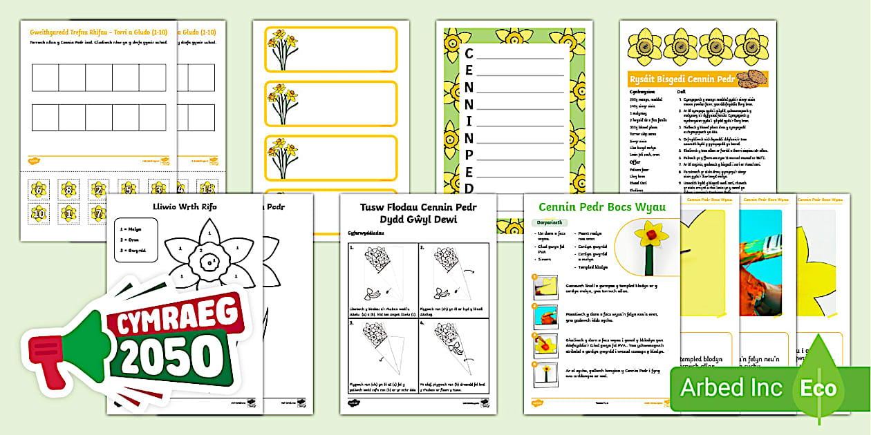 St David’s Day in Welsh Activity Pack for English Medium