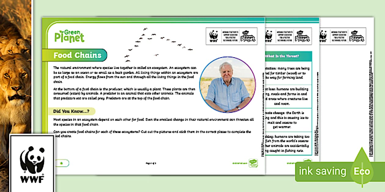 FREE! - WWF Food Chain Matching Activity with David Attenborough