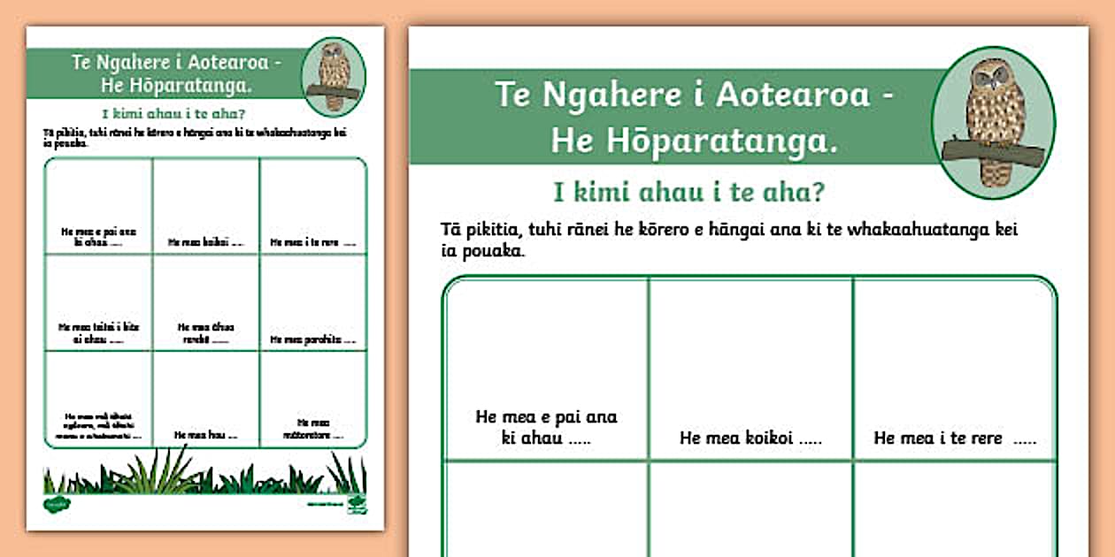 Te Ngāhere i Aotearoa - He Hōparatanga. (teacher made)