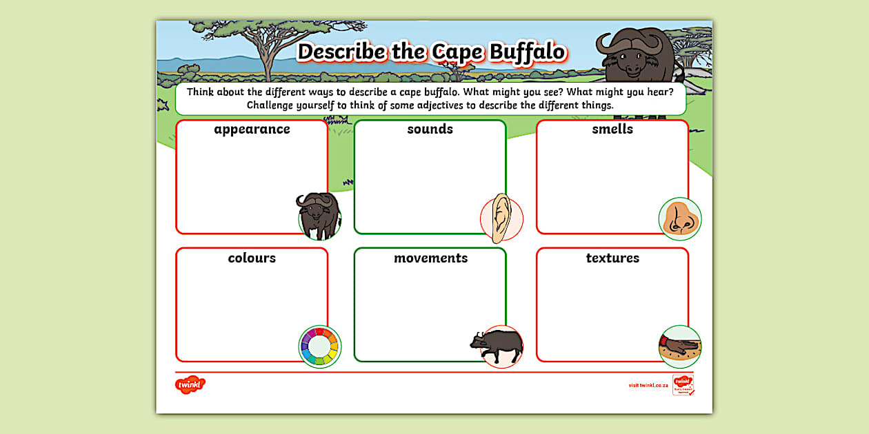 Cape Buffalo Adjectives Worksheet - Twinkl
