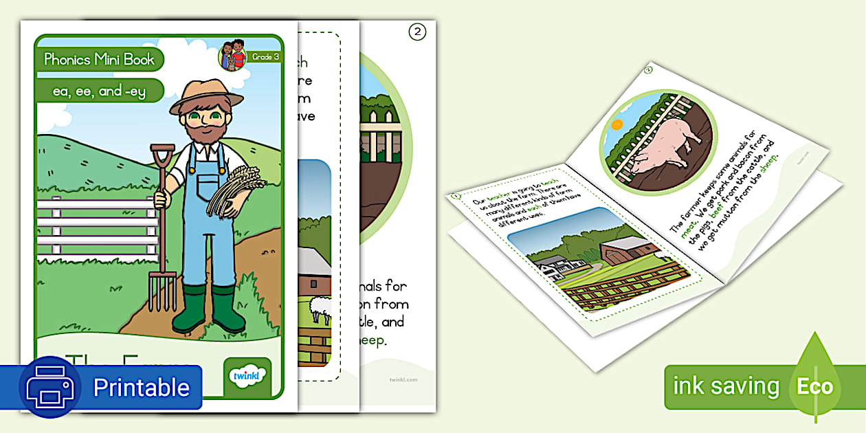 Grade 3 Mini Book ea, ee, ey