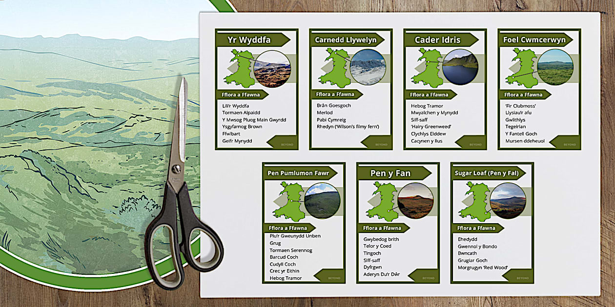 Cardiau Ffeithiau Mynyddoedd Cymru (teacher made) - Twinkl