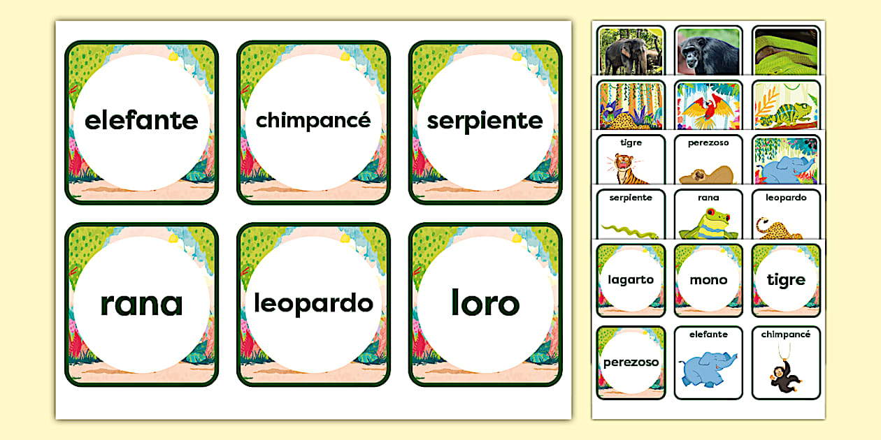 Tarjetas de emparejar: ¡Exploremos la selva! (teacher made)