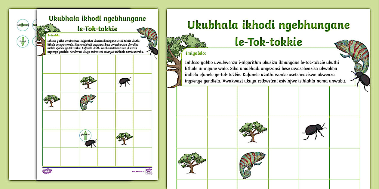 Ukubhala ikhodi ngebhungane le-Tok-tokkie (teacher made)