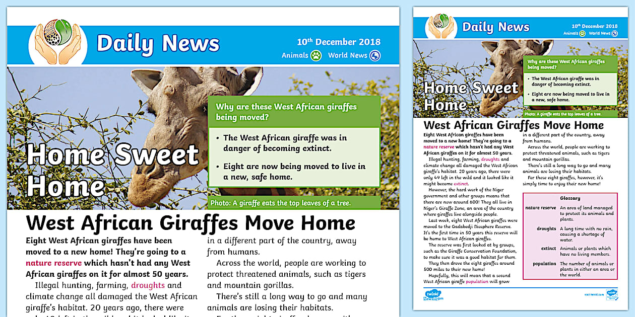 LKS2 Saving Giraffes Daily News Story