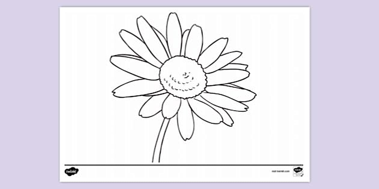Flower Outline Colouring Sheet | Colouring Sheets - Twinkl
