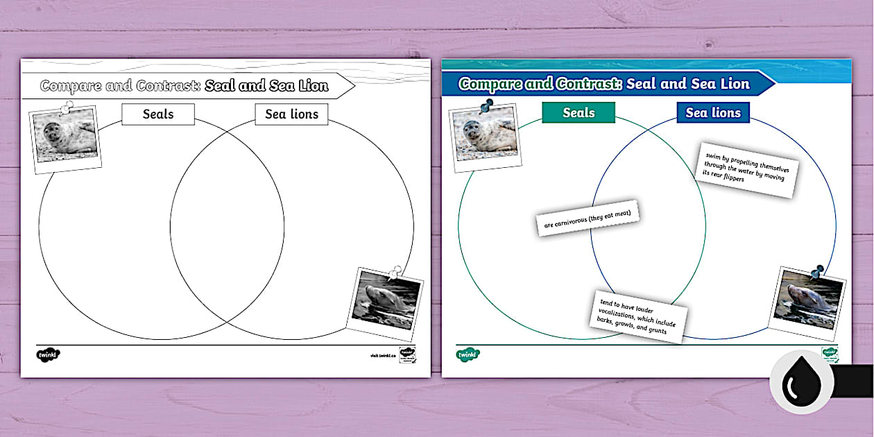 Seal and Sea Lion Venn Diagram Sorting Activity - Twinkl