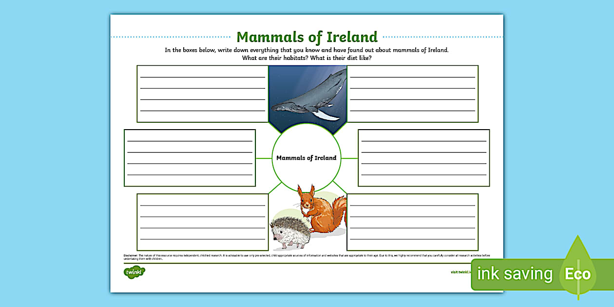 Mammals of Ireland Mind Map (teacher made) - Twinkl