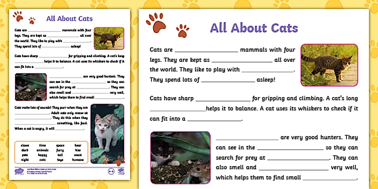 All About Cats Fill in the Blanks Cloze Procedure Activity