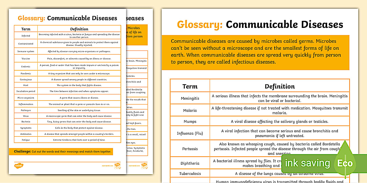 Communicable Diseases Glossary Grade 6