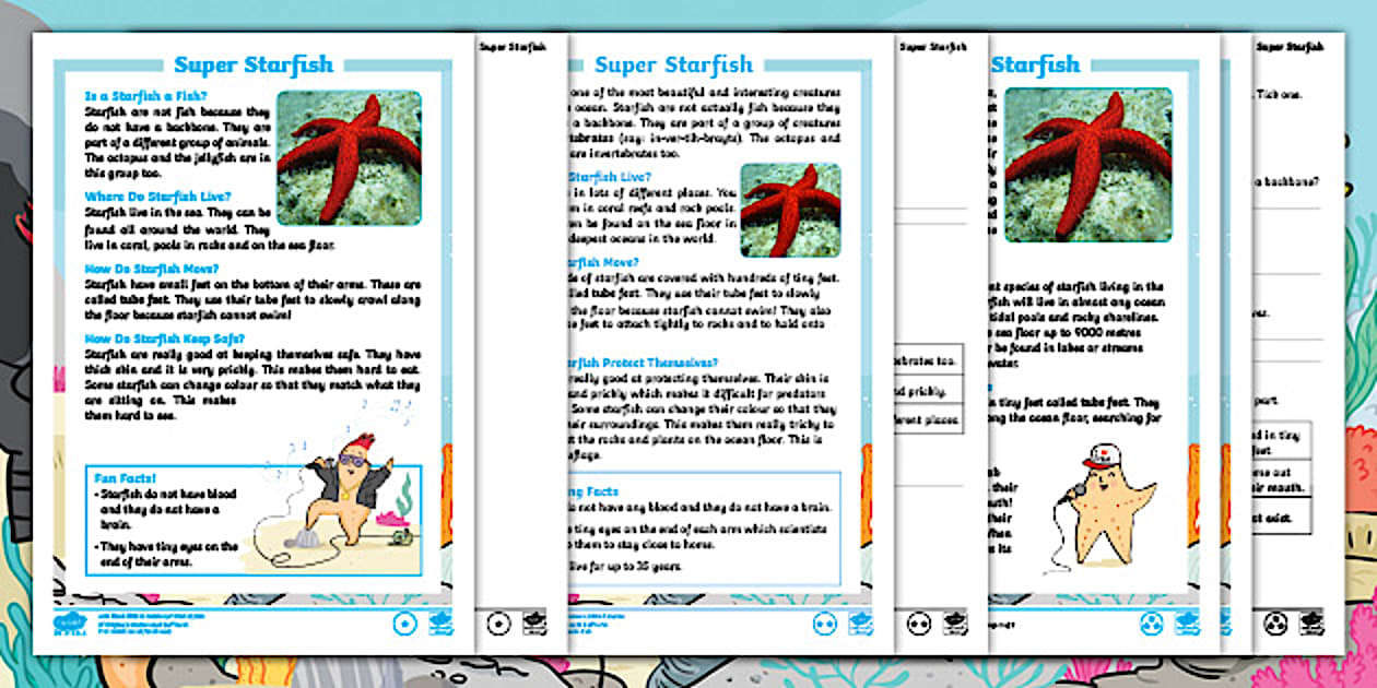 Year 2 Super Starfish Non-Fiction Reading Comprehension Activity