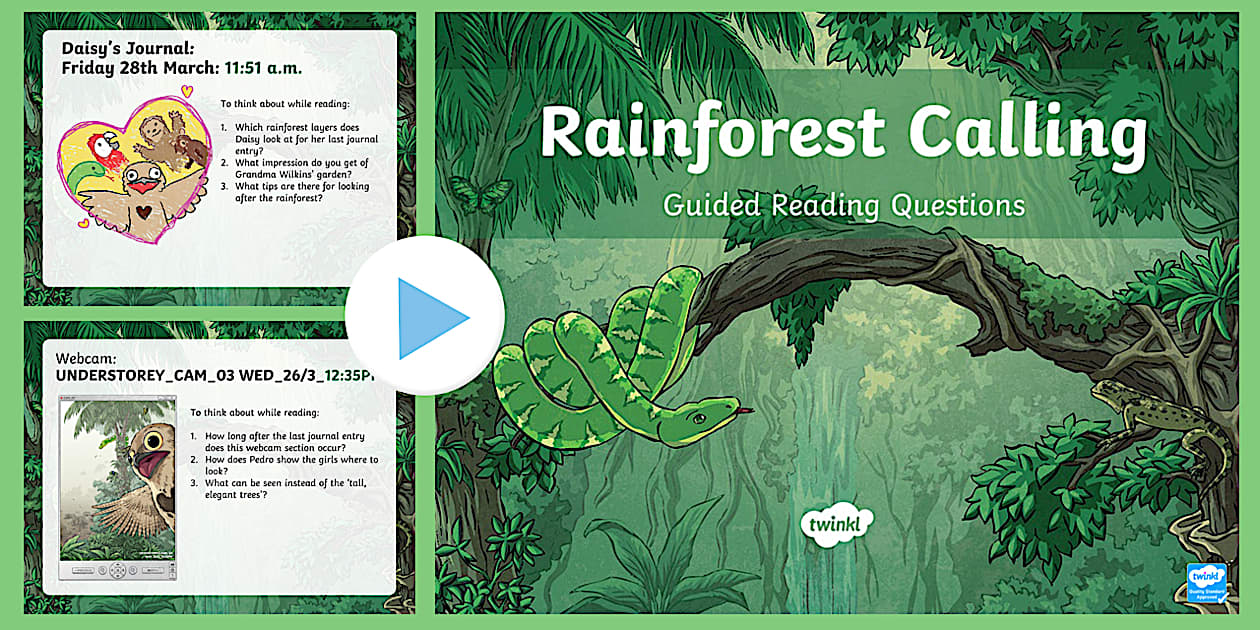 Rainforest Calling Guided Reading Questions PowerPoint
