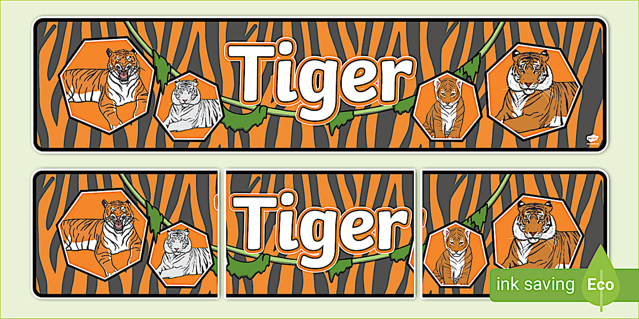 👉 Tiger Display Banner (Teacher-Made) - Twinkl