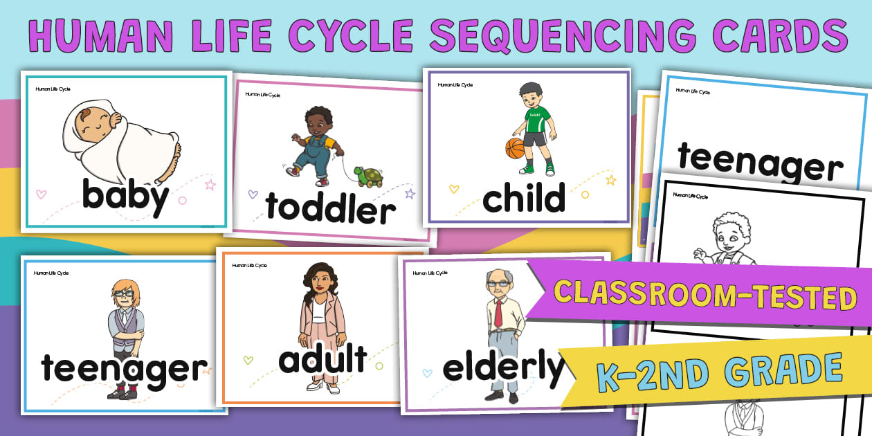 Human Life Cycle Sequencing Cards for K-2nd Grade - Twinkl