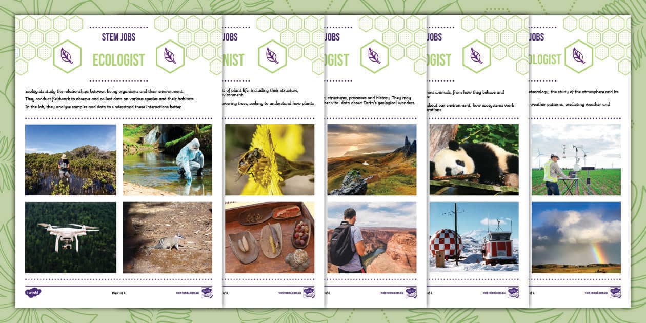 Environmental Jobs in STEM Display Photos