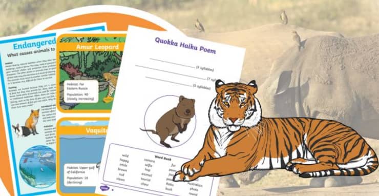 Endangered Species Day 2026 | Twinkl - Twinkl