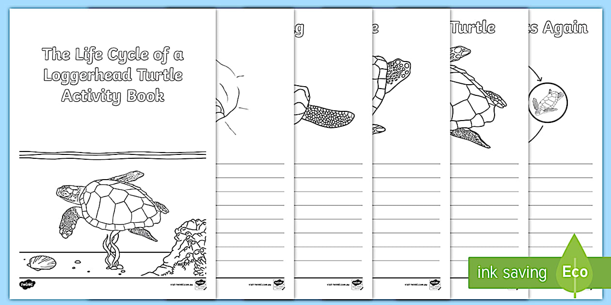 Loggerhead Turtle Life Cycle Activity Booklet (teacher made)
