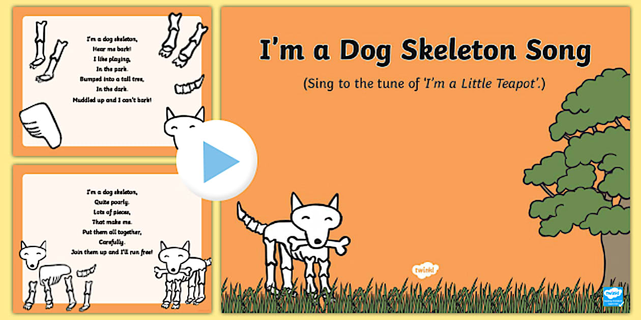 I'm a Dog Skeleton Song PowerPoint (Hecho por educadores)
