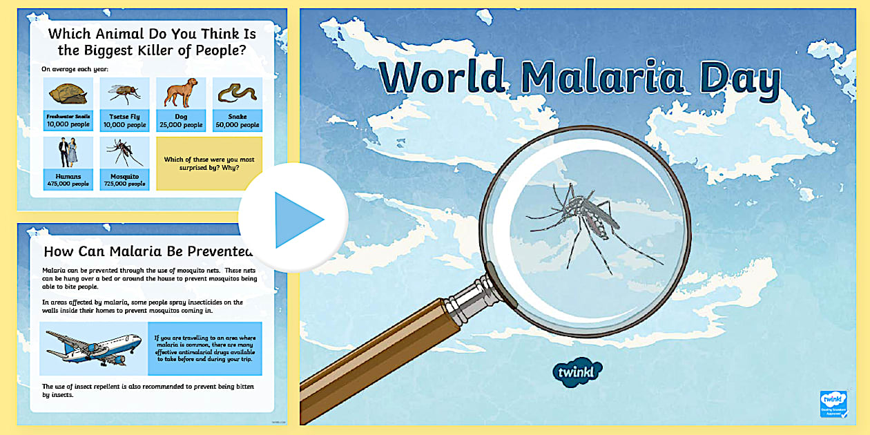 World Malaria Day PowerPoint (teacher made) - Twinkl