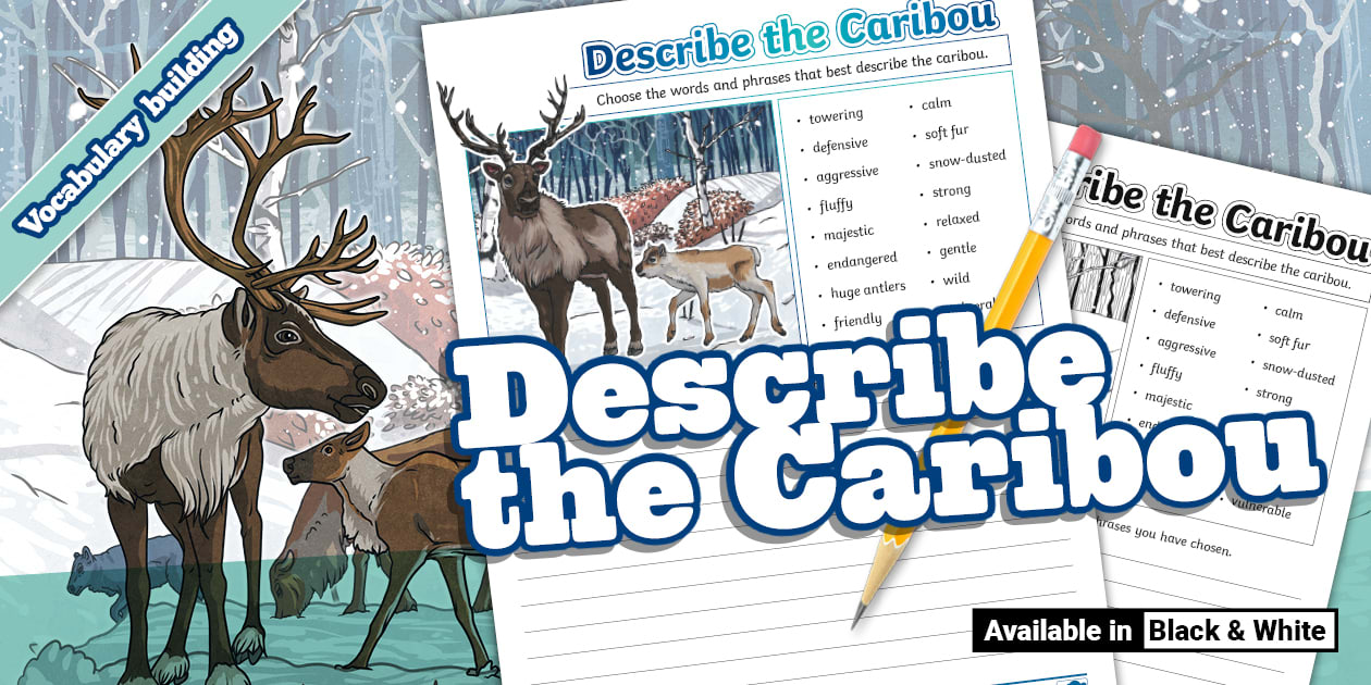 Describe the Caribou Worksheet - Twinkl