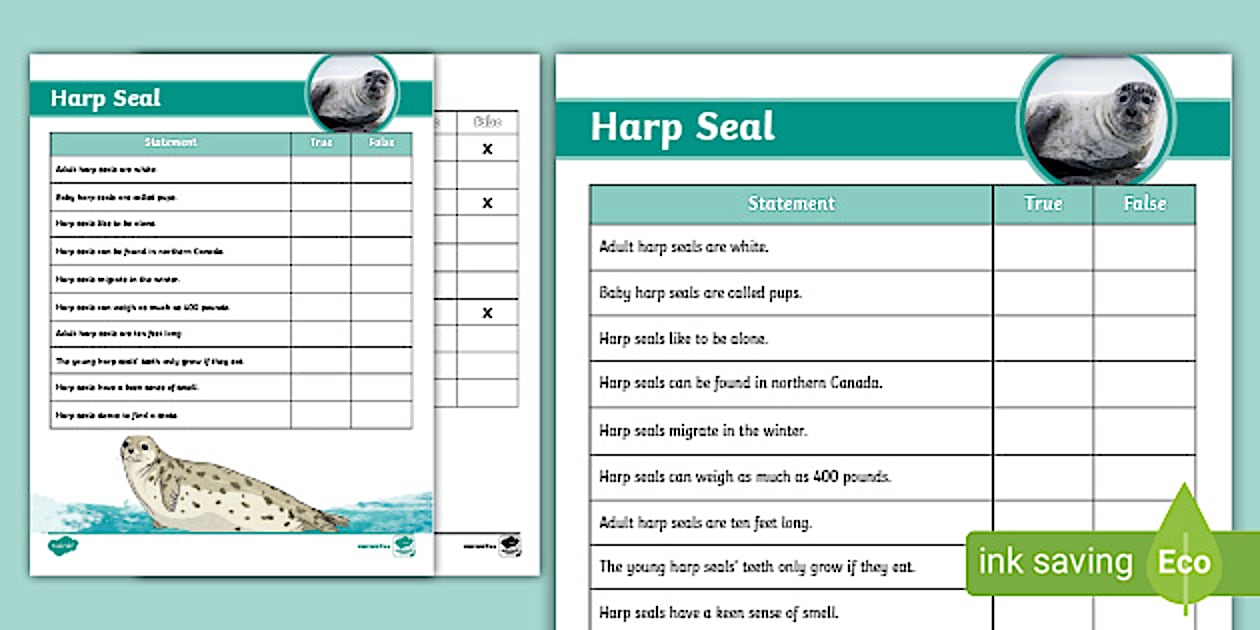 Harp Seal True or False Activity - Grades 4-6 (teacher made)