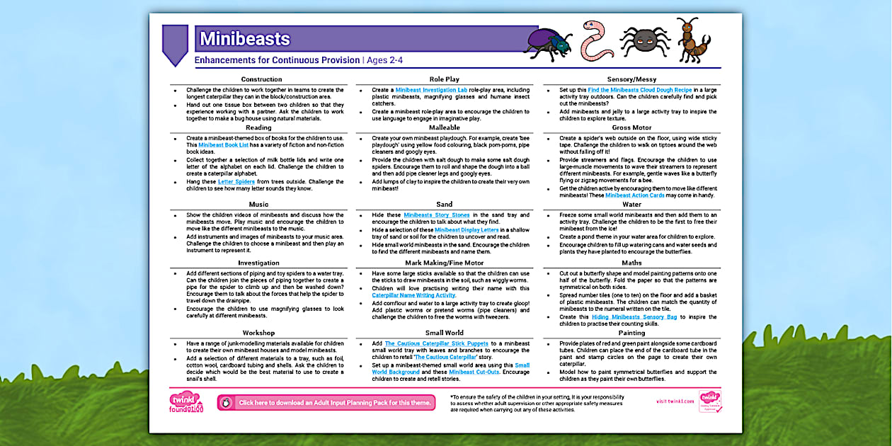 EYFS Minibeasts Continuous Provision Ideas (Ages 2-4)