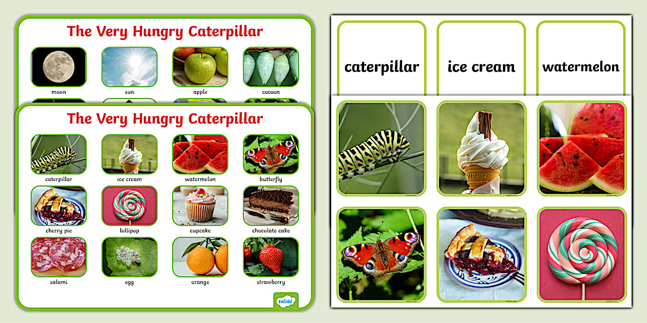 Photo Word Mat and Matching Cards to Support Teaching on The Very Hungry
